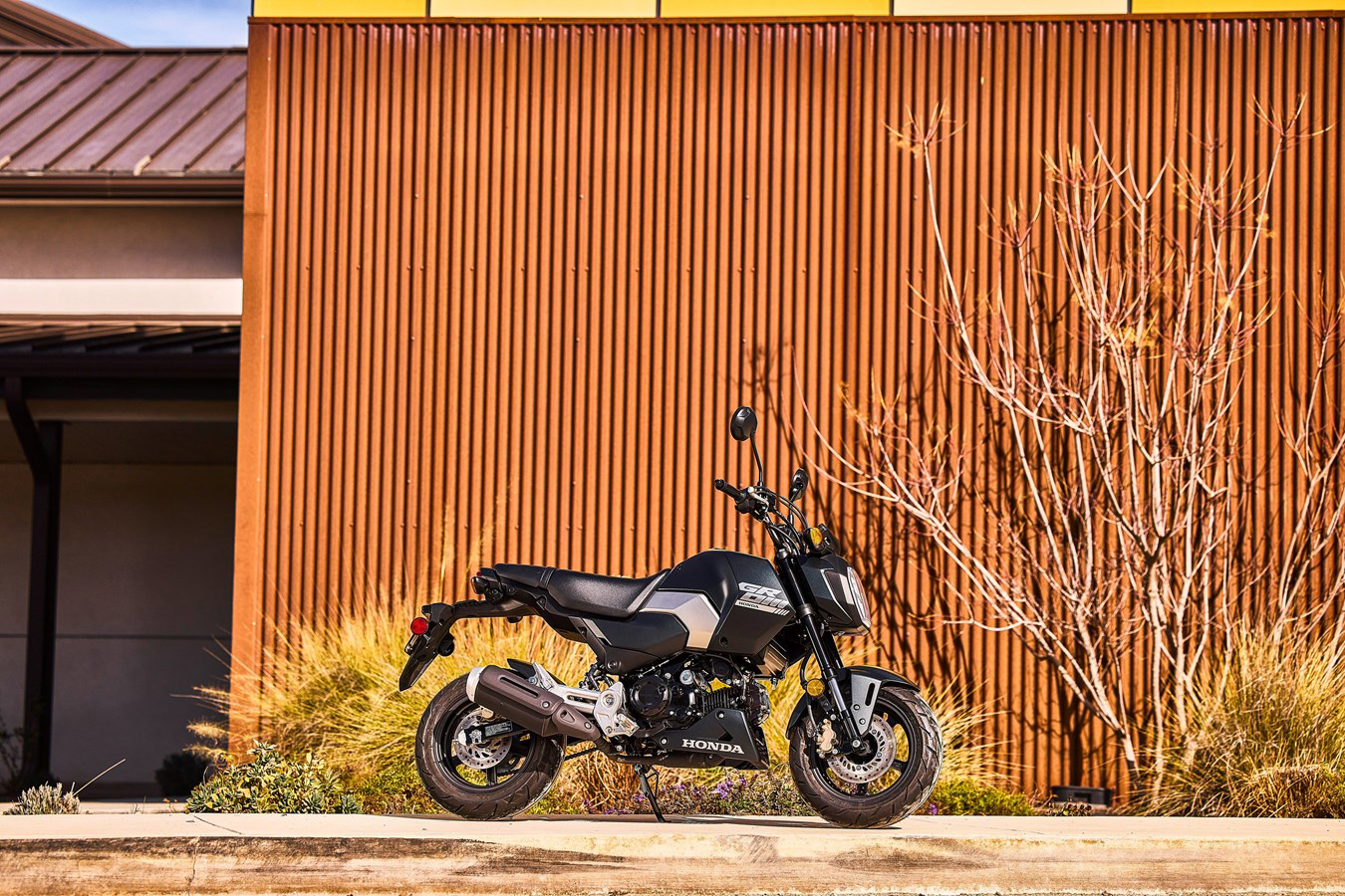 The 2025 Honda MSX125 Grom arrives in Europe - Moto World